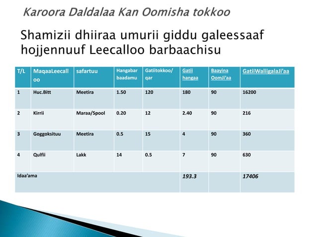 Karoora Daldalaa Kan Oomisha tokkoo ppt Garment.pptx
