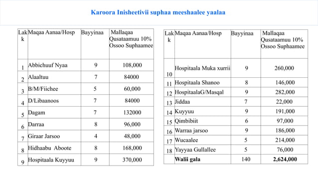 Karoora hojii WFG Ji'a Bitootessaa-Waxabajjii 2015.pptx