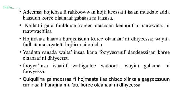 Karoora Qindoomina Magaalaa Baabbilee Bara 20171.pptx