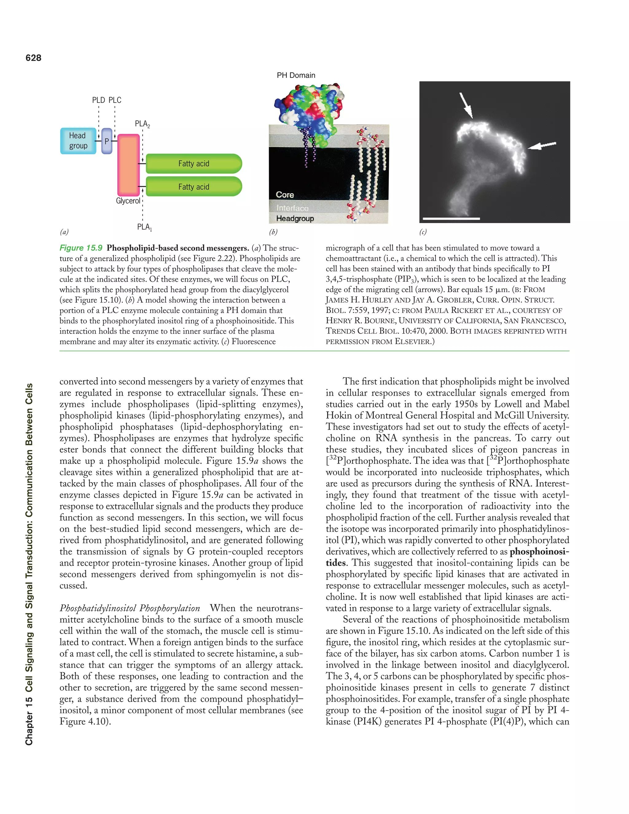 Cell signalling and signal transduction Communication between cells ...