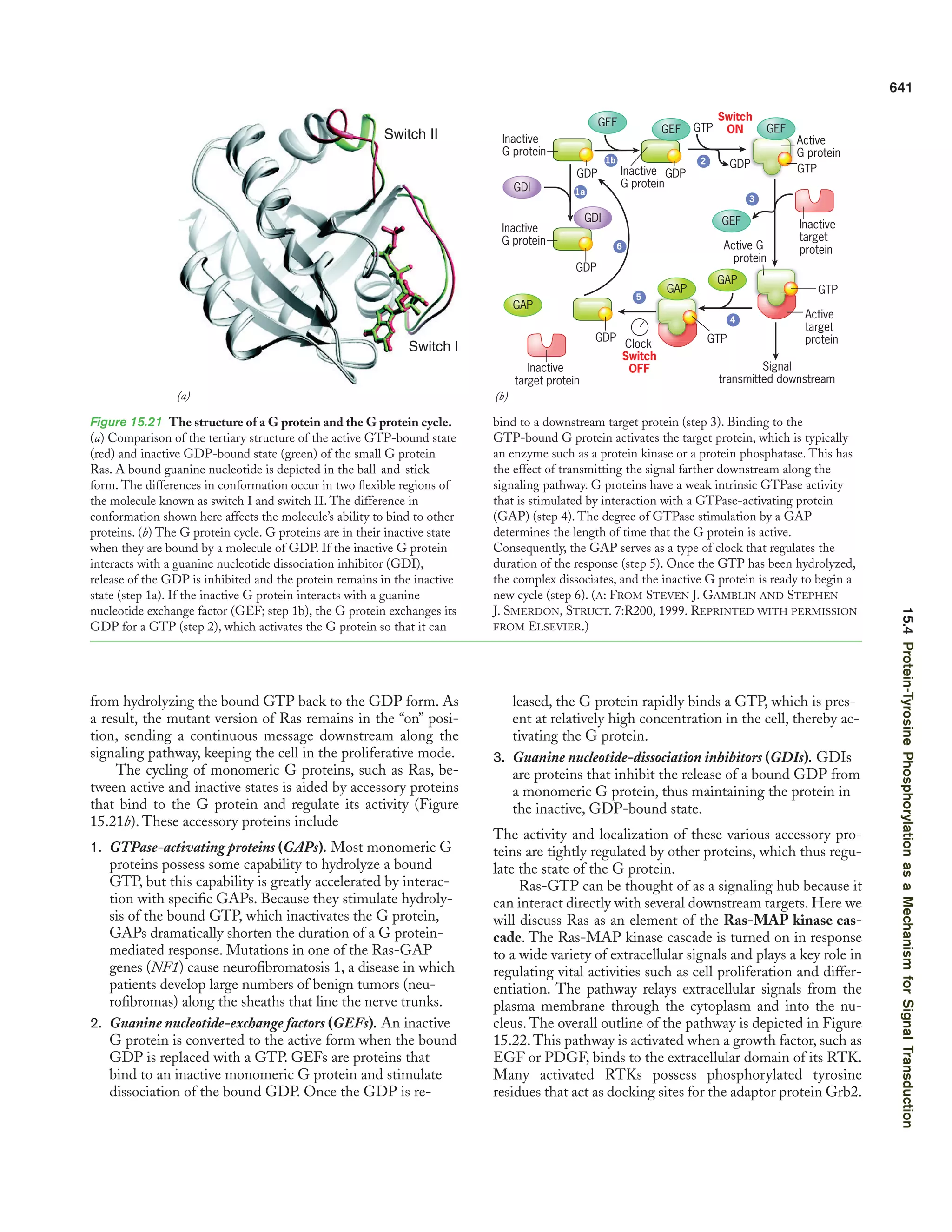 Cell signalling and signal transduction Communication between cells ...