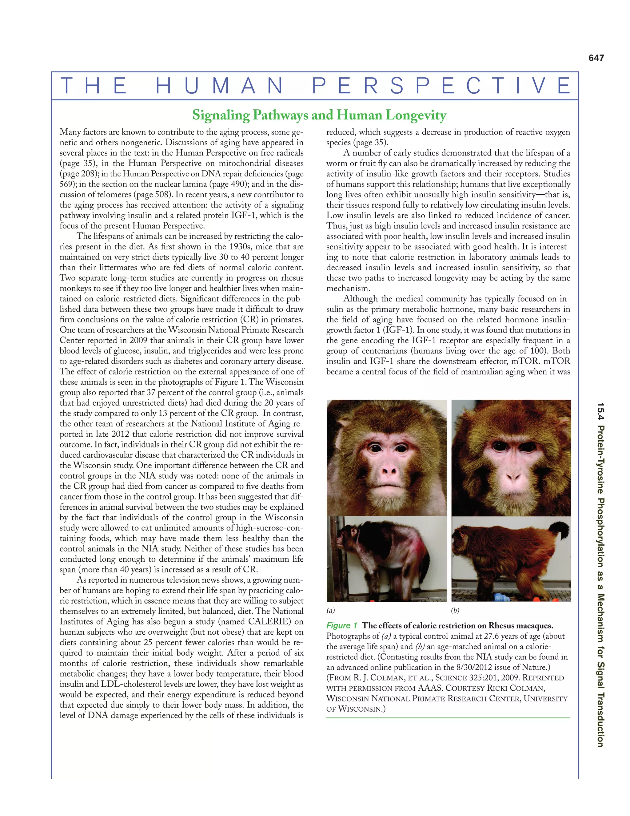 Cell signalling and signal transduction Communication between cells from karp | PDF