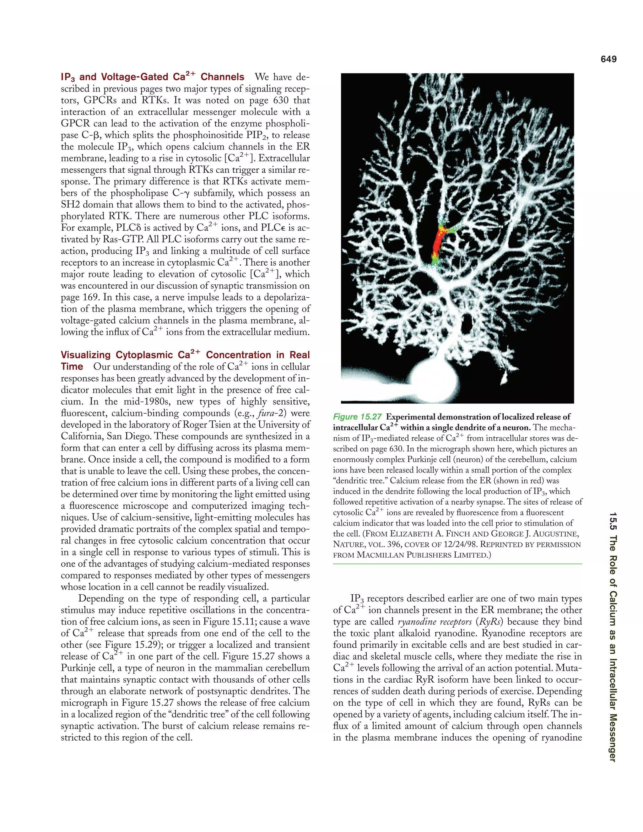 Cell signalling and signal transduction Communication between cells from karp | PDF