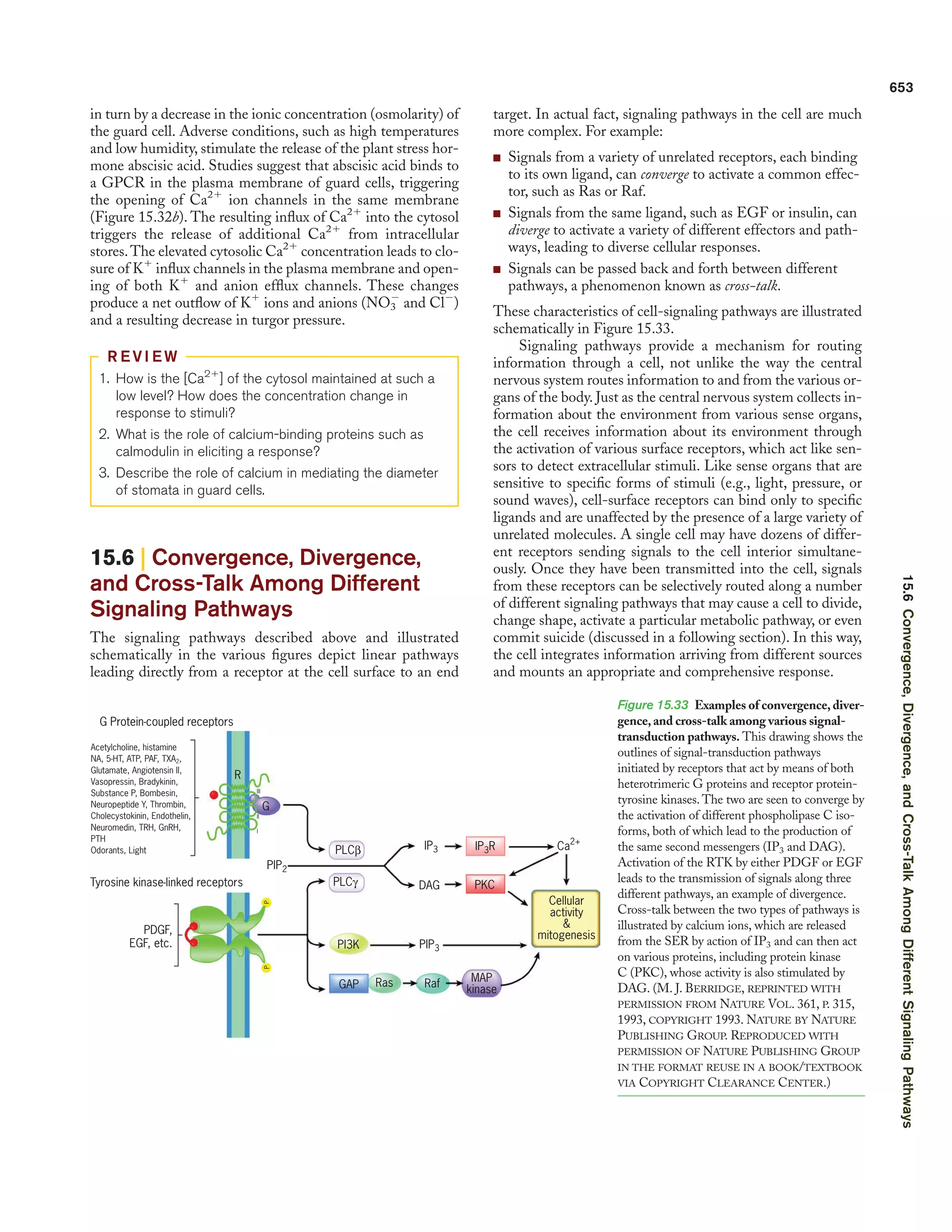 Cell signalling and signal transduction Communication between cells ...