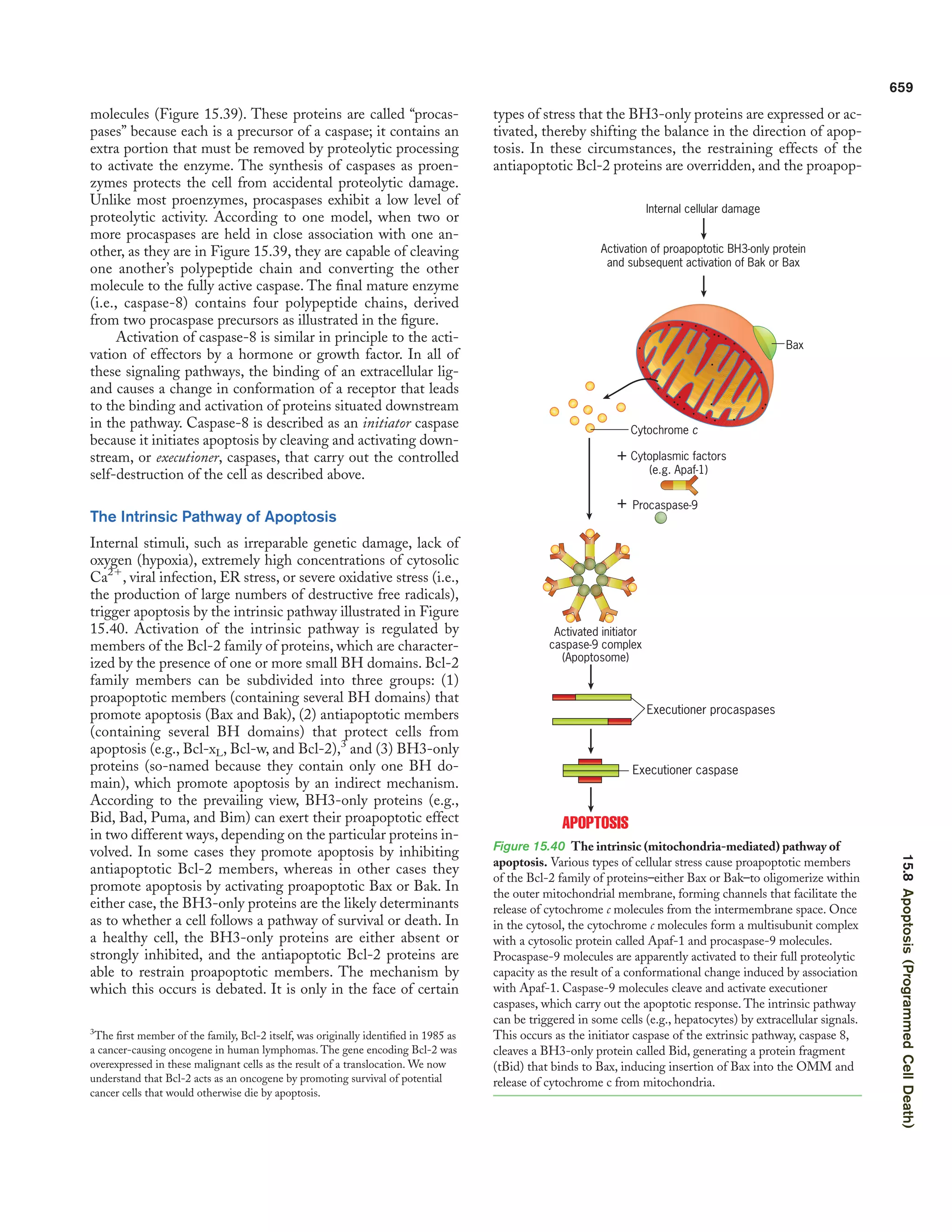 Cell signalling and signal transduction Communication between cells ...
