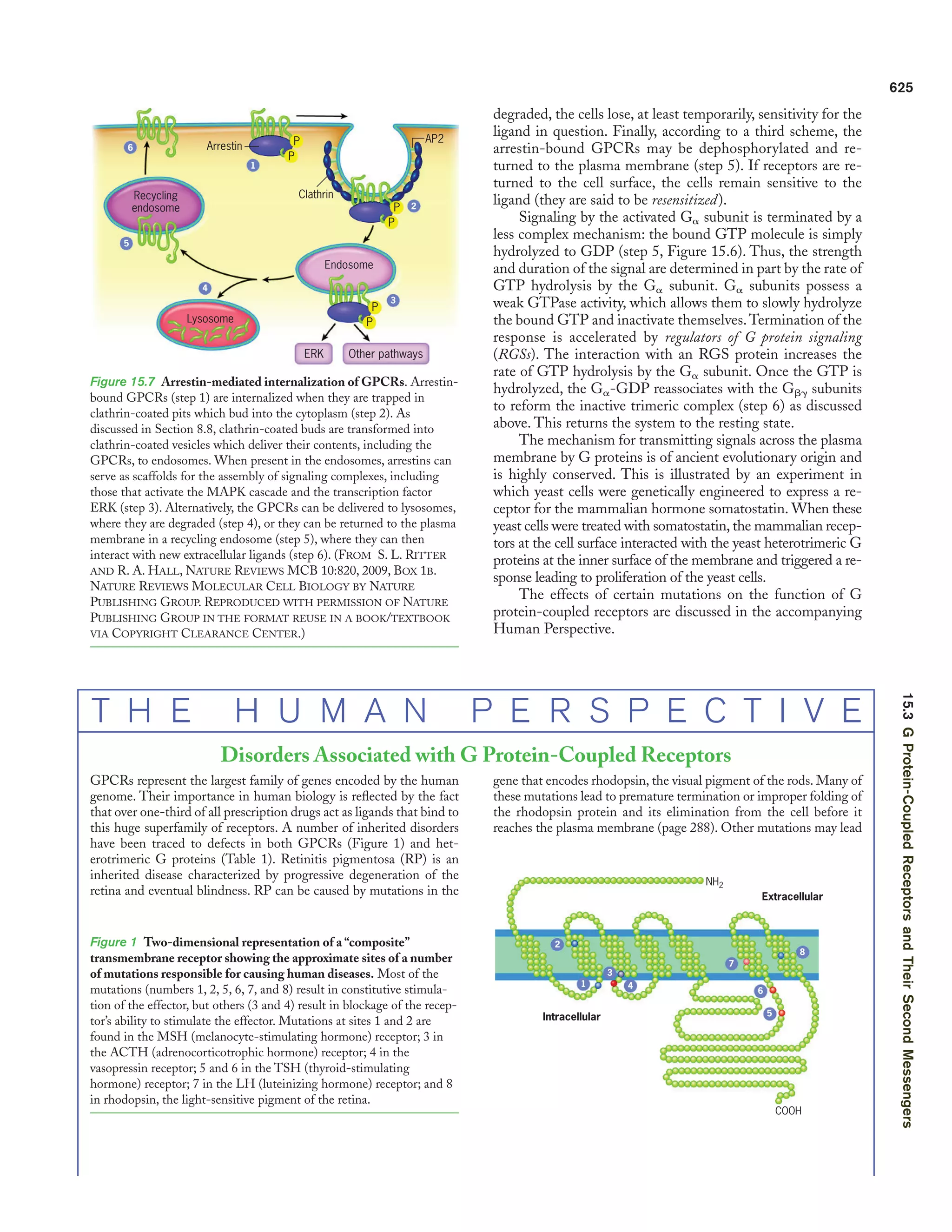 Cell signalling and signal transduction Communication between cells ...