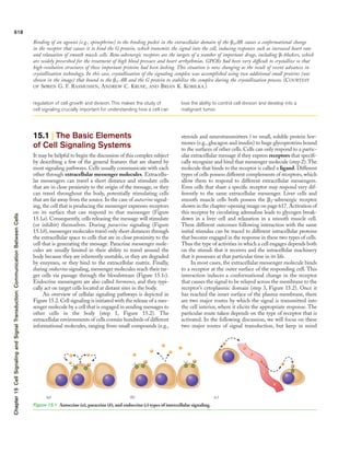 Cell signalling and signal transduction Communication between cells ...