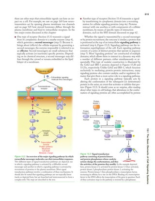 Cell signalling and signal transduction Communication between cells ...