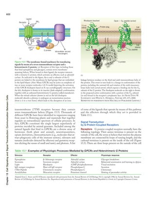 Cell signalling and signal transduction Communication between cells ...