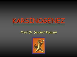 Karsinogenez#Sevket_Ruacan.pdf njjkkkjjjk | PDF