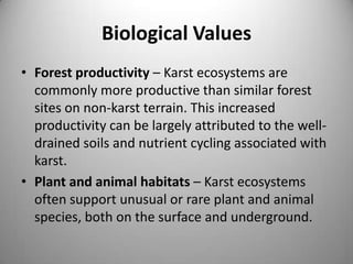 Karst (Andrea Aun) | PPSX