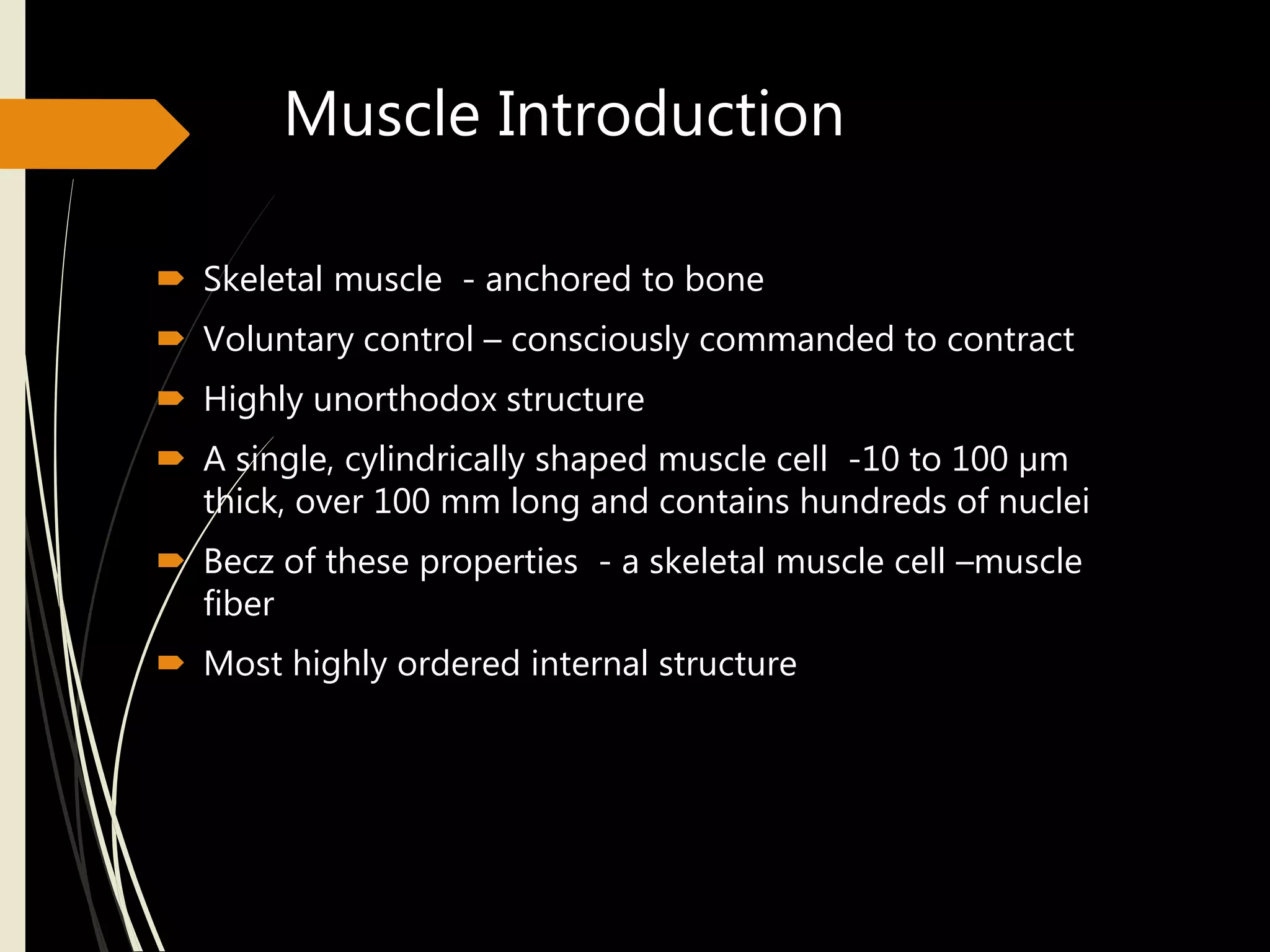 muscle contractile mechanism, Ca2+ signalling in muscle | PPTX