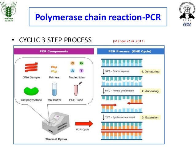 Rapid detection of food borne pathogens and its recent advancementa