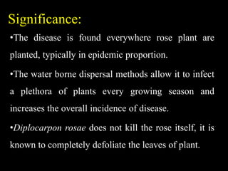 Black spot of Rose | PPTX