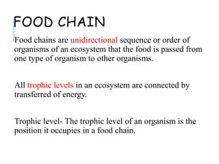 food chan and food web in ecosystem.pptx
