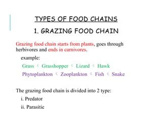 food chan and food web in ecosystem.pptx