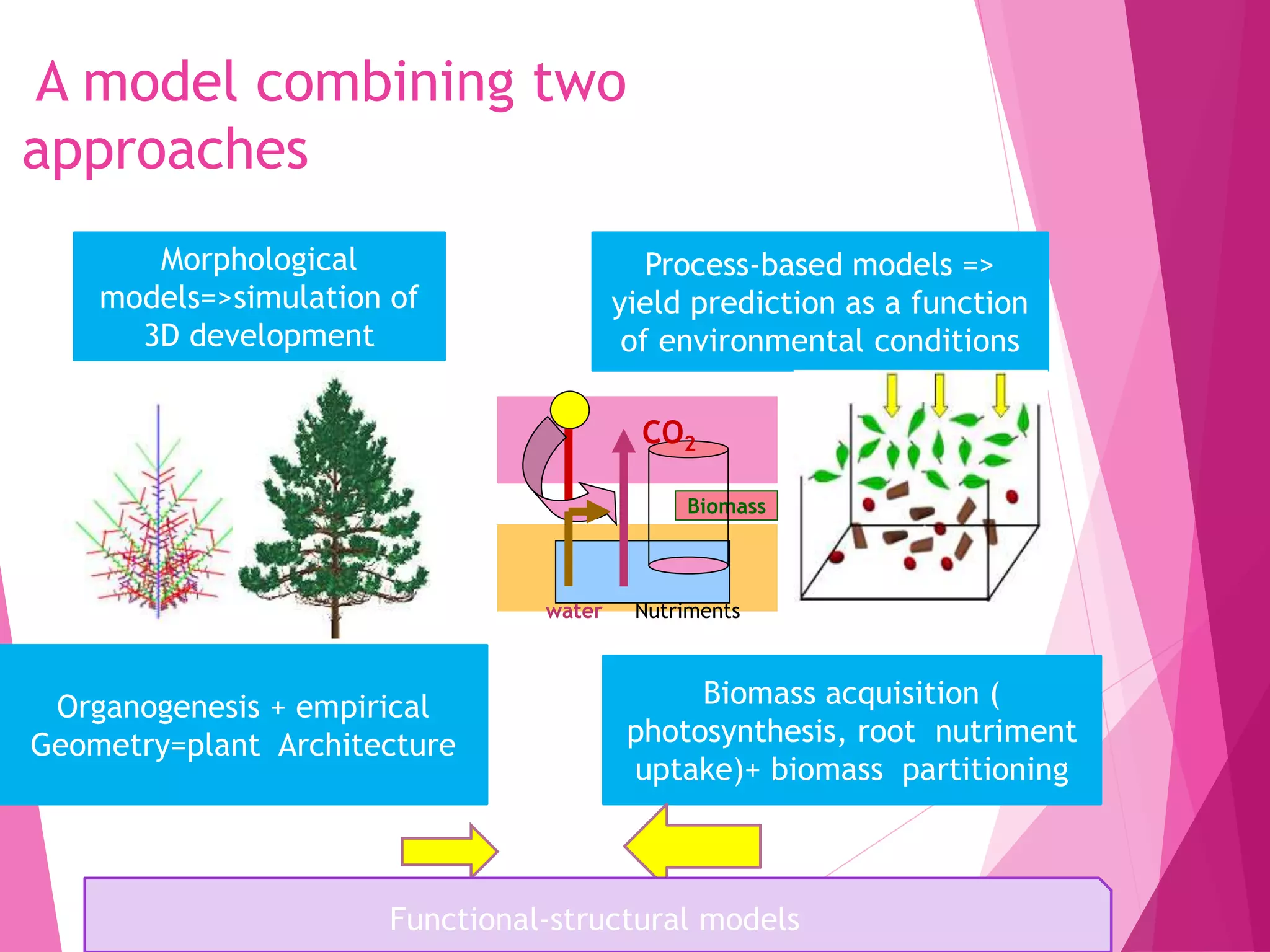 APPLICATION OF MATHS IN AGRICULTURE.pptx