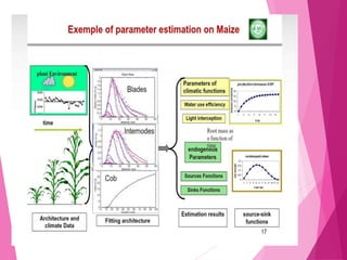 APPLICATION OF MATHS IN AGRICULTURE.pptx