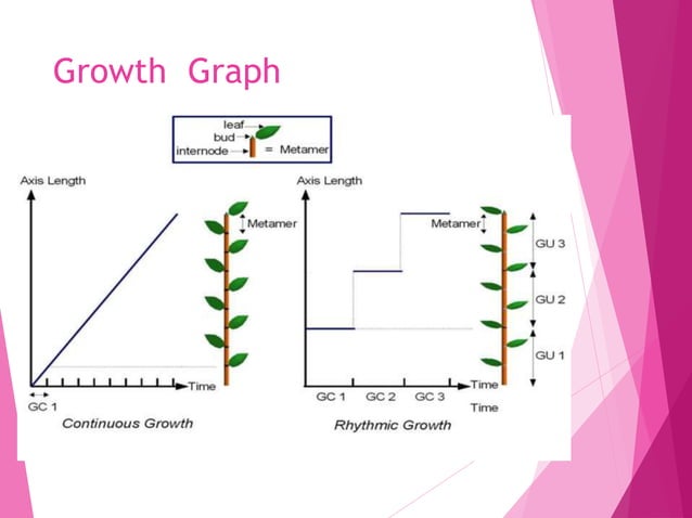APPLICATION OF MATHS IN AGRICULTURE.pptx