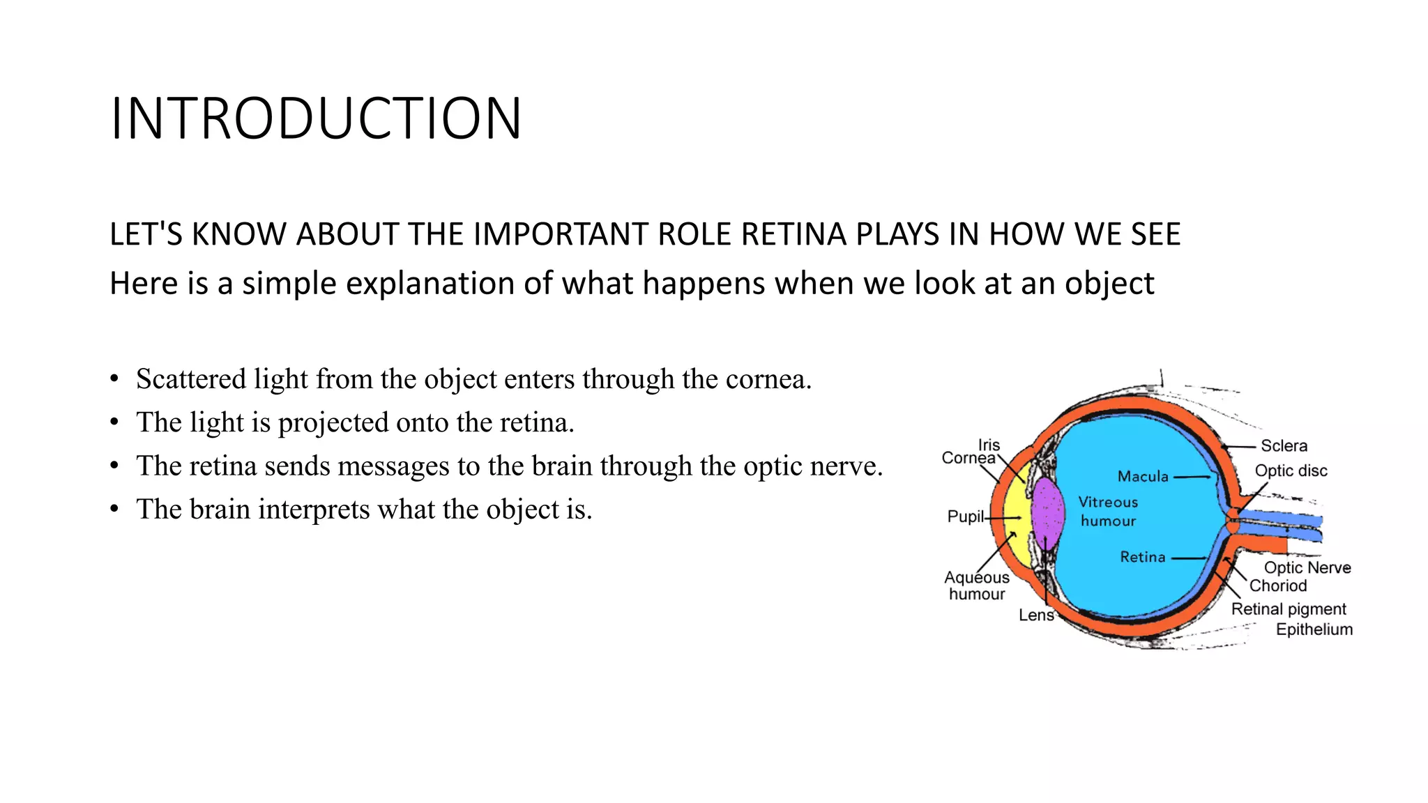 artificial retina | PPT