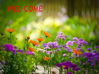 Intervarietal chromosomal substitution | PPTX