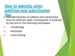 Intervarietal chromosomal substitution | PPTX