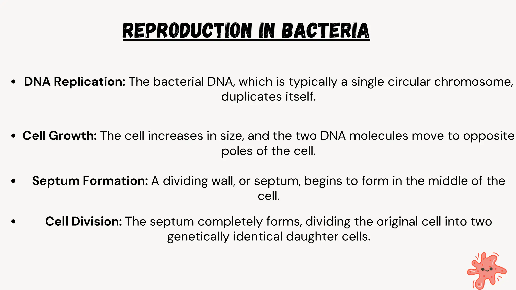 bacteria-- what is bacteria What is Bacteria | PDF