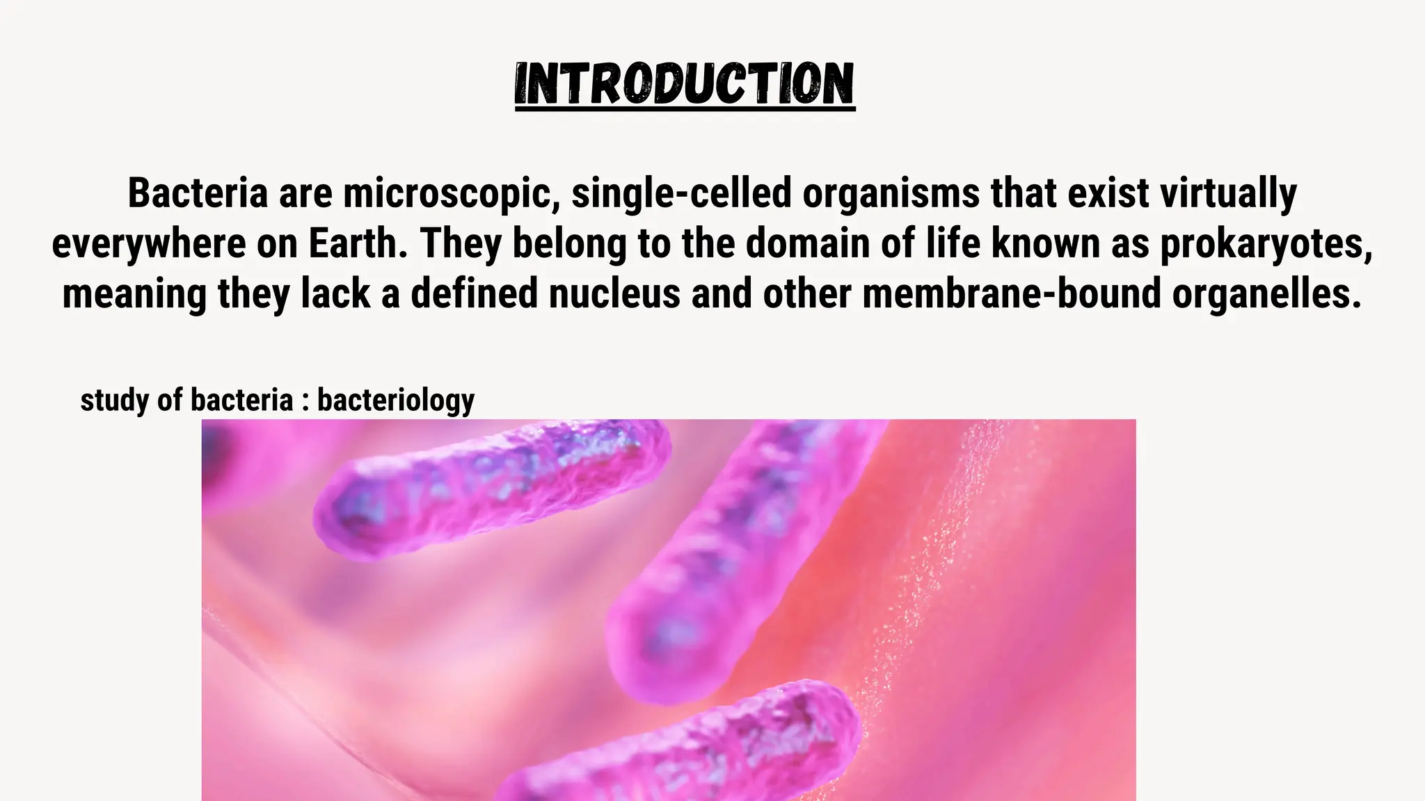 bacteria-- what is bacteria What is Bacteria | PPT