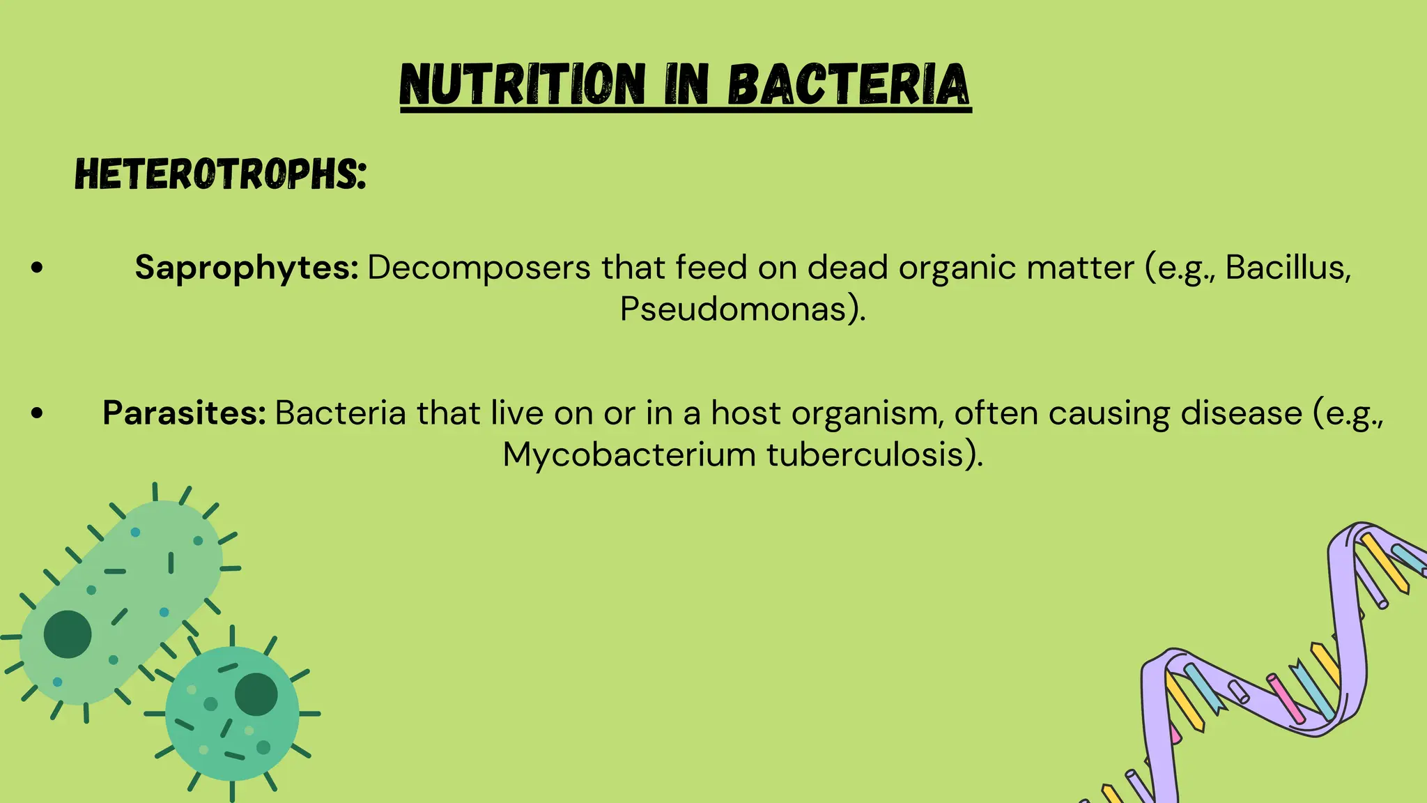 bacteria-- what is bacteria What is Bacteria | PDF