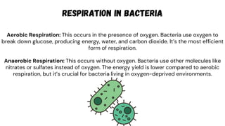 bacteria-- what is bacteria What is Bacteria | PPT