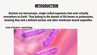bacteria-- what is bacteria What is Bacteria | PPT