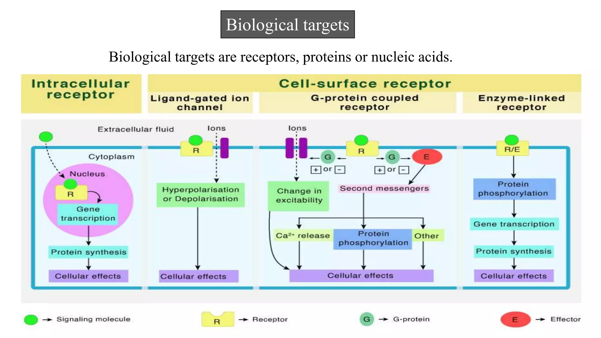 (Kartik Tiwari) Denovo Drug Design.pptx