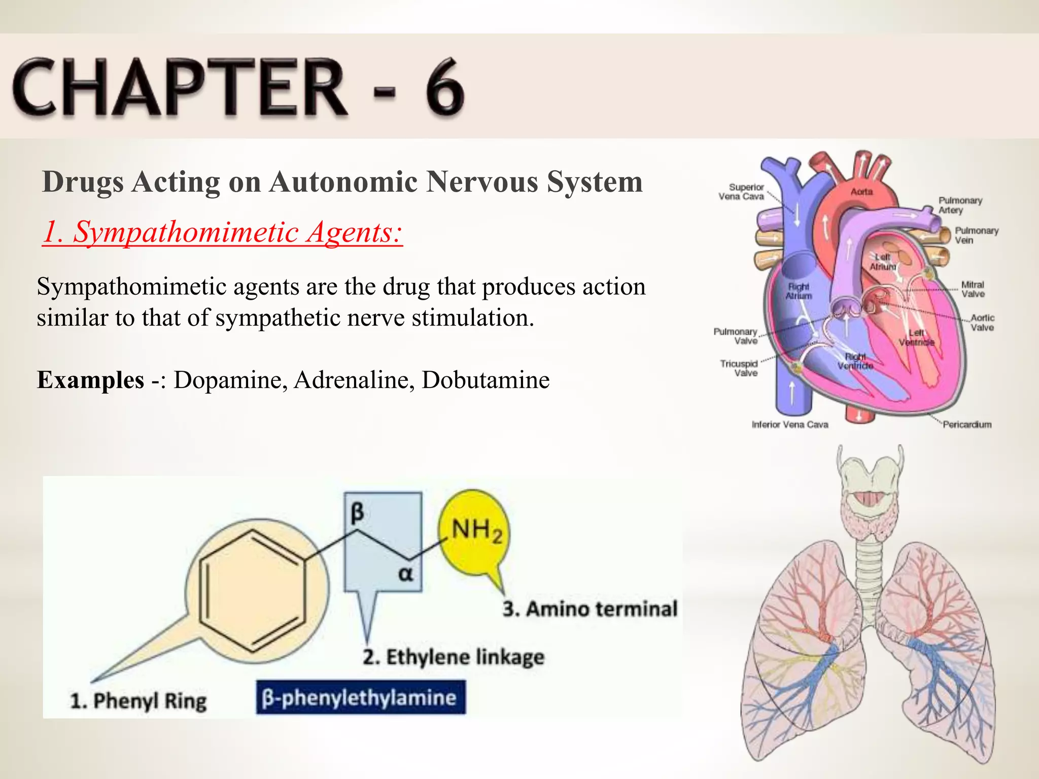 (Kartik Tiwari) Pharmaceutical Chemistry D.Pharm syllabus orientation ...