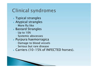 Kartik Verma (Strangles).pptx