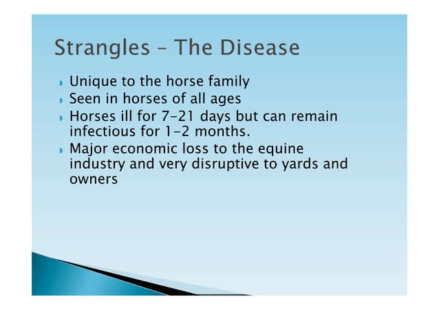 Kartik Verma (Strangles).pptx