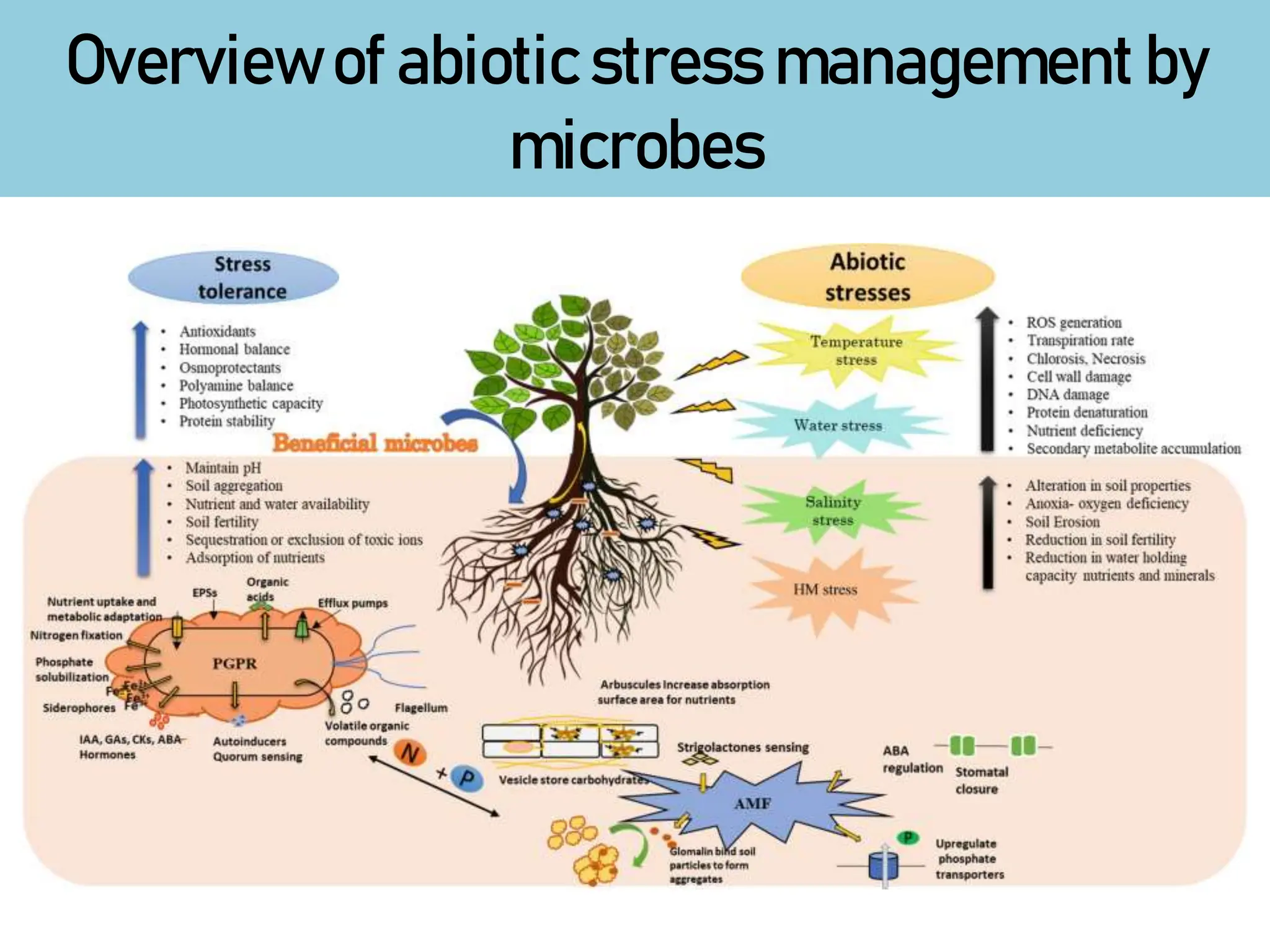 Microbes for abitoc stress management in agriculture | PPTX