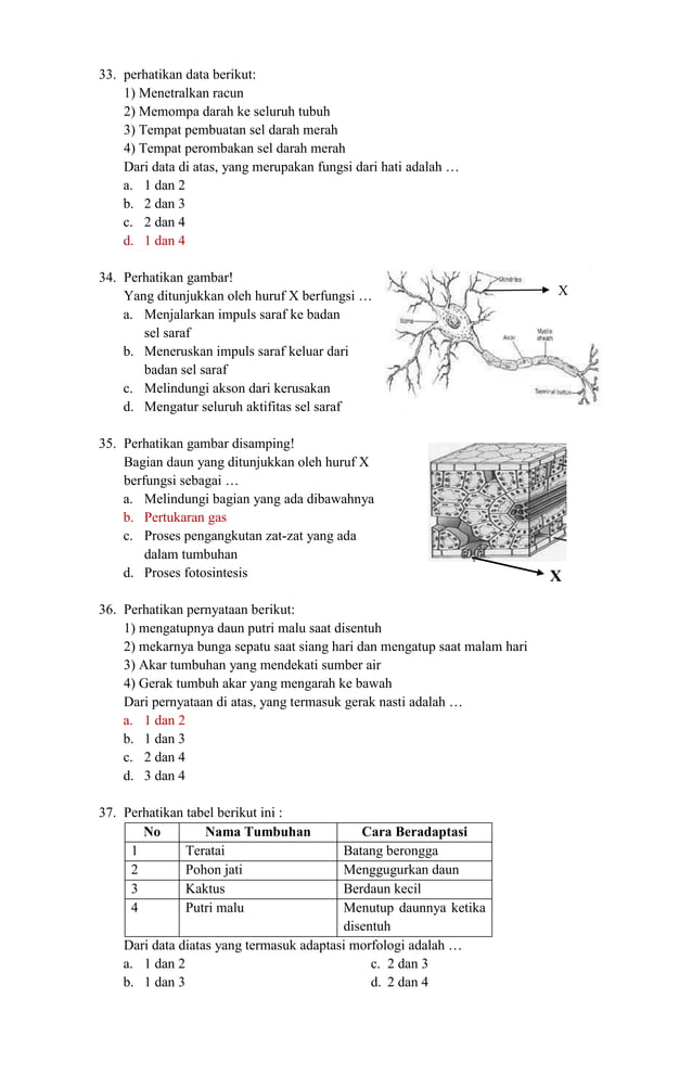 Kartu soal latihan ujian nasional 2013 3. | DOCX