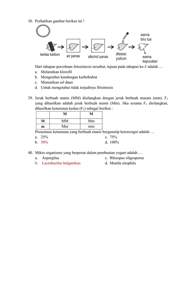 Kartu soal latihan ujian nasional 2013 3. | DOCX