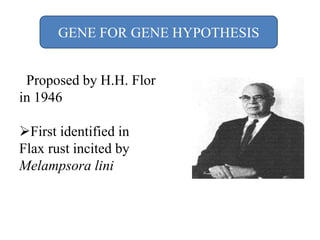 Multiple disease resistance in plants | PPTX