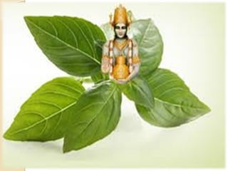 Karya karan bbhava siddhant | PDF