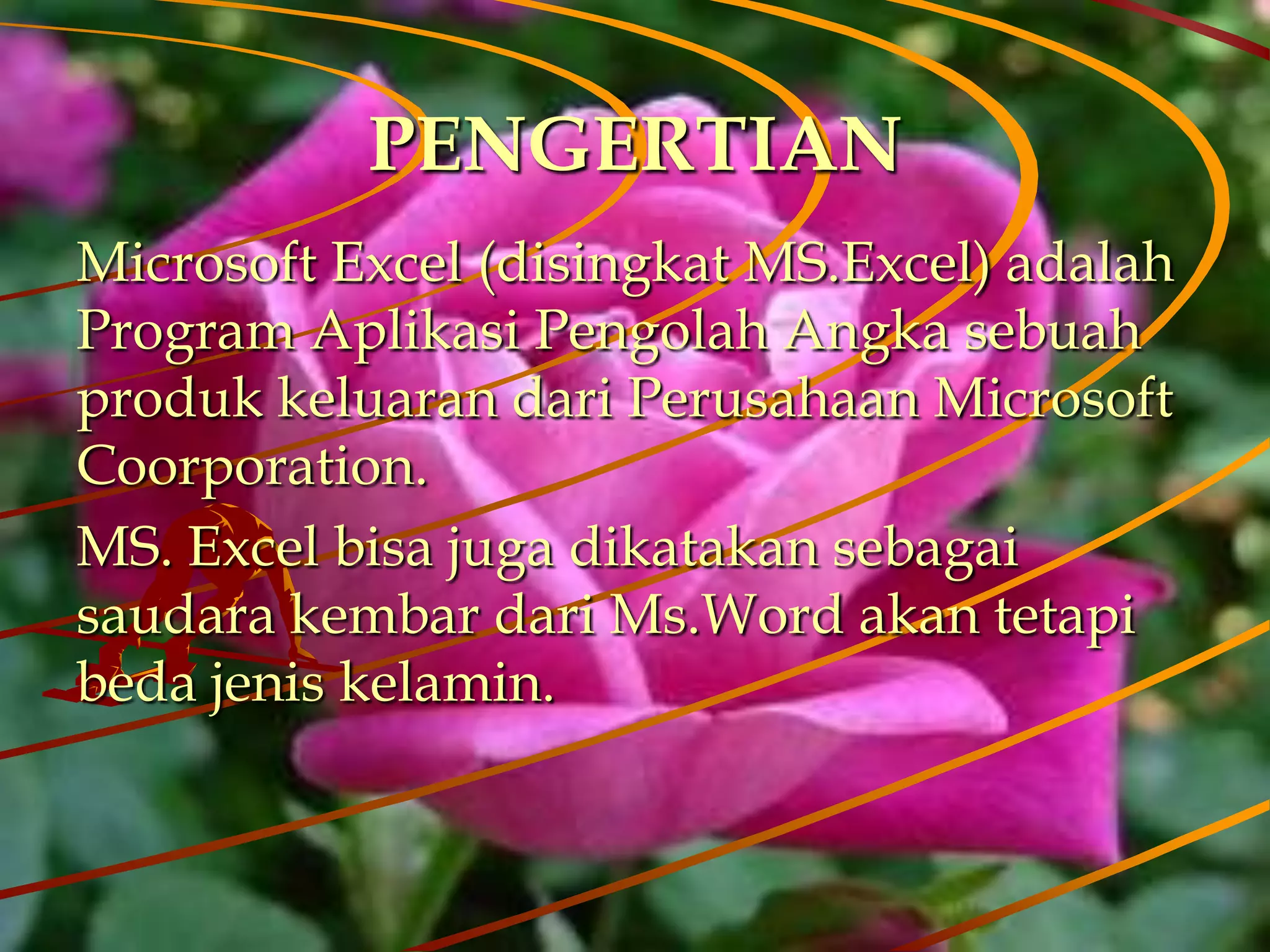 mengenal ms.excel 8 | PPS