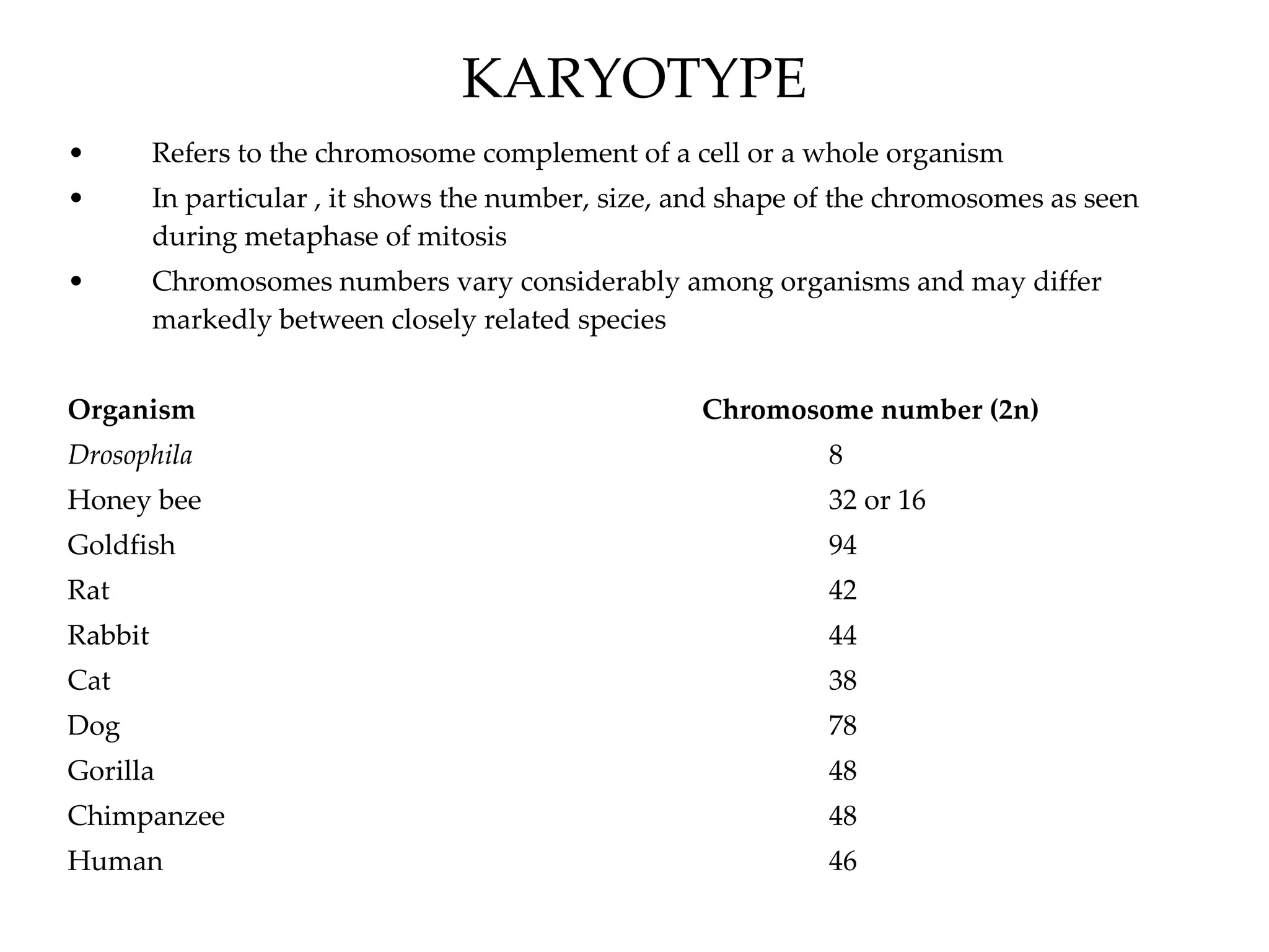 Karyotype | PPT