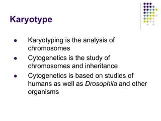 karyotype.ppt
