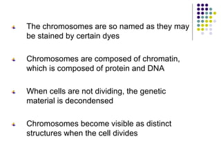 karyotype.ppt