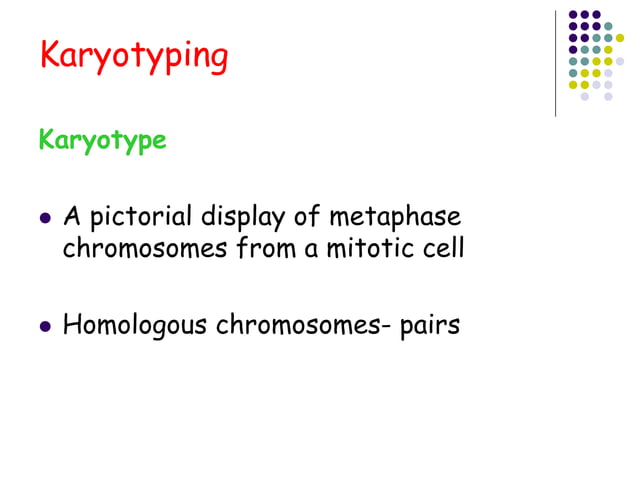 karyotype.ppt