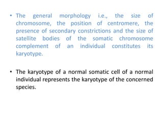karyotype.pptx