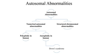 Karyotype_cell biology_undergraduate .pptx