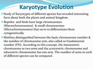 Karyotype analysis and evolution by Mannat | PPTX