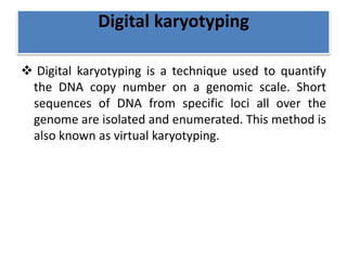 Karyotype analysis and it's evolution | PPTX