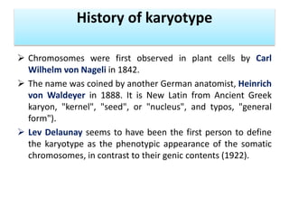 Karyotype analysis and it's evolution | PPTX
